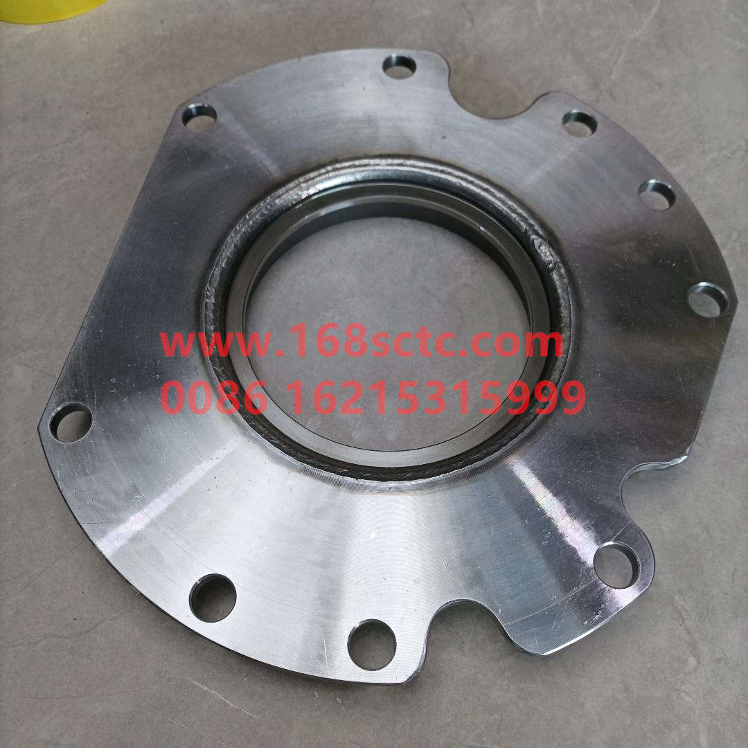 WG2203100005*,Engine Parts